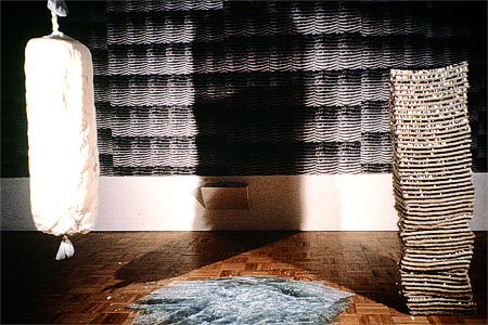 Nancy Shahani: Portfolio